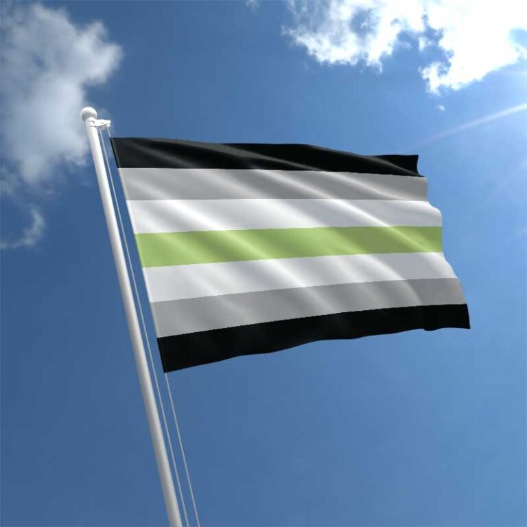 Beyond the Flag: The Meaning of the Agender Flag and Its Relevance for ...