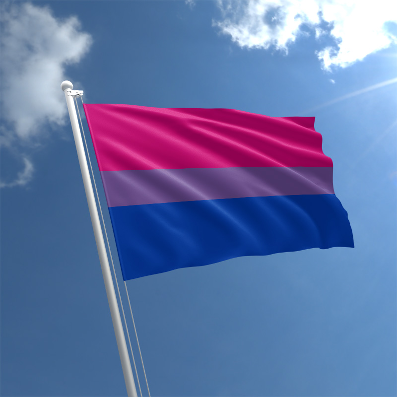 Bisexual Flag Meaning: History, Symbolism, Colors & Facts - Androgen ...