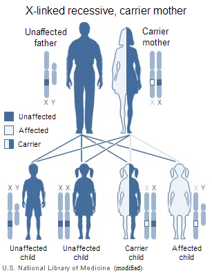 Genetics News in AIS: Latest Discoveries in Adolescent Idiopathic ...