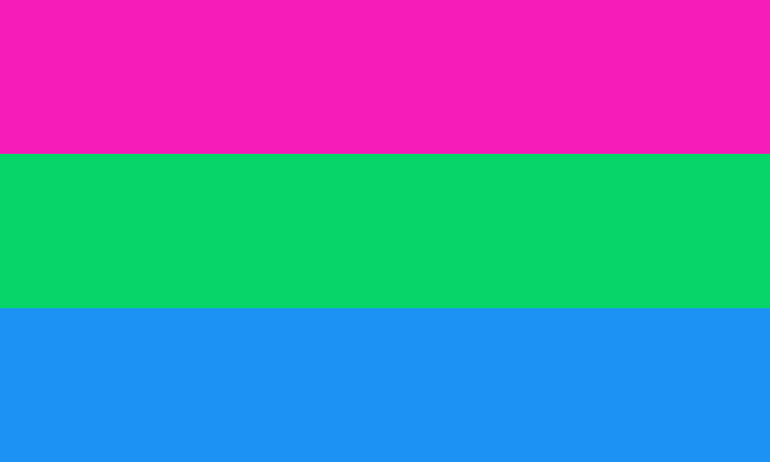Poly Flag: History Colors and Symbolism - Androgen Insensitivity ...