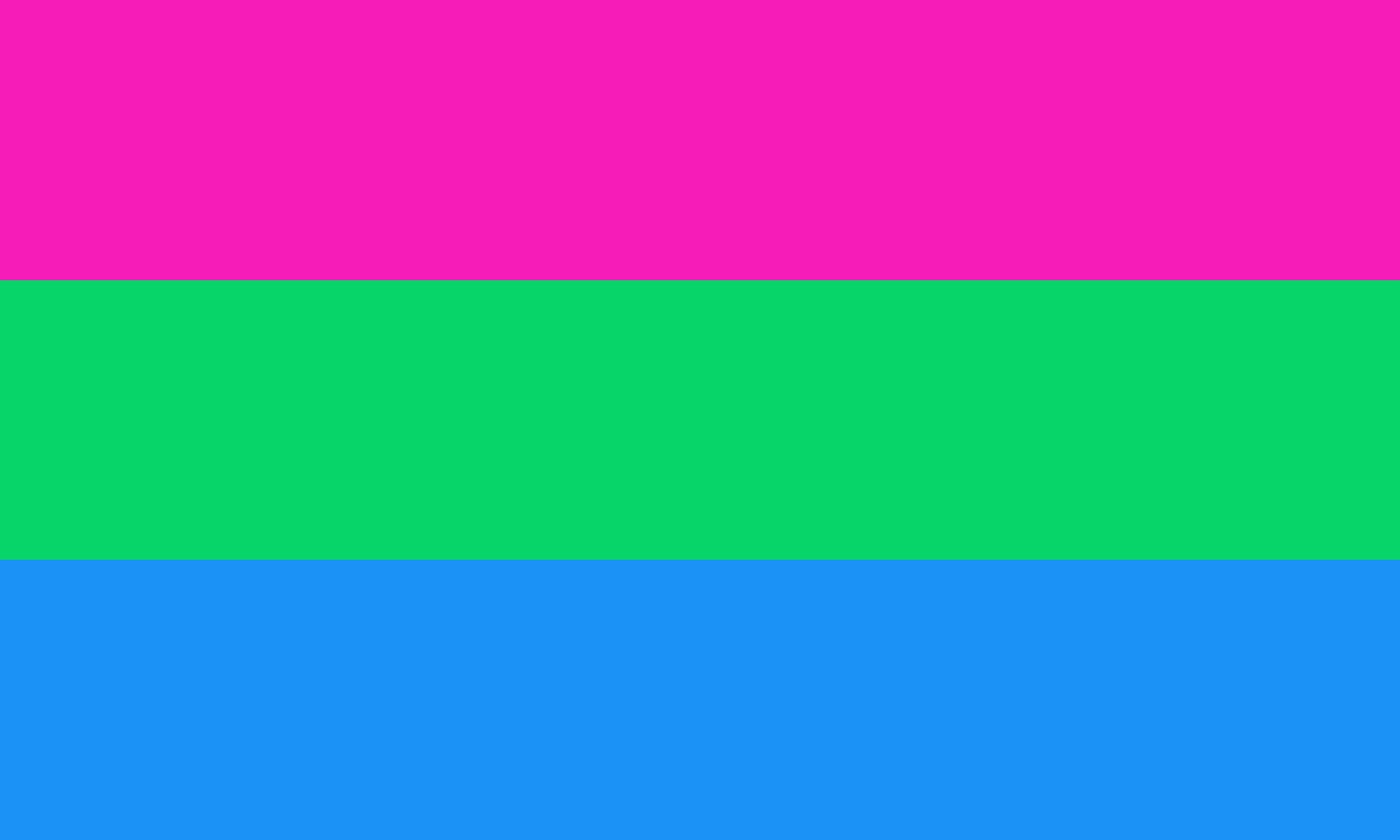 Poly Flag: History Colors and Symbolism - Androgen Insensitivity ...